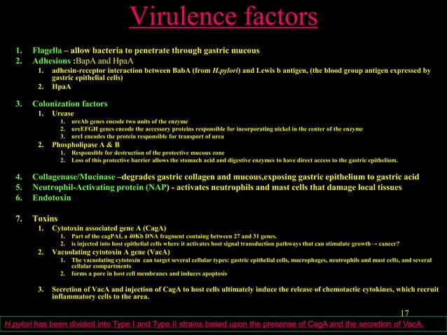 Helicobacter & campylobacter lec.11 dr.ihsan alsaimary | PPT