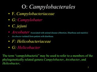 Helicobacter & campylobacter lec.11 dr.ihsan alsaimary | PPT
