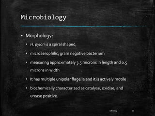 Helicobacter pylori | PPTX