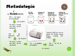 Helicobacter pylori (IgAs y test de ureasa) | PPTX