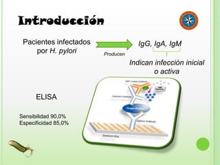 Helicobacter pylori (IgAs y test de ureasa) | PPTX