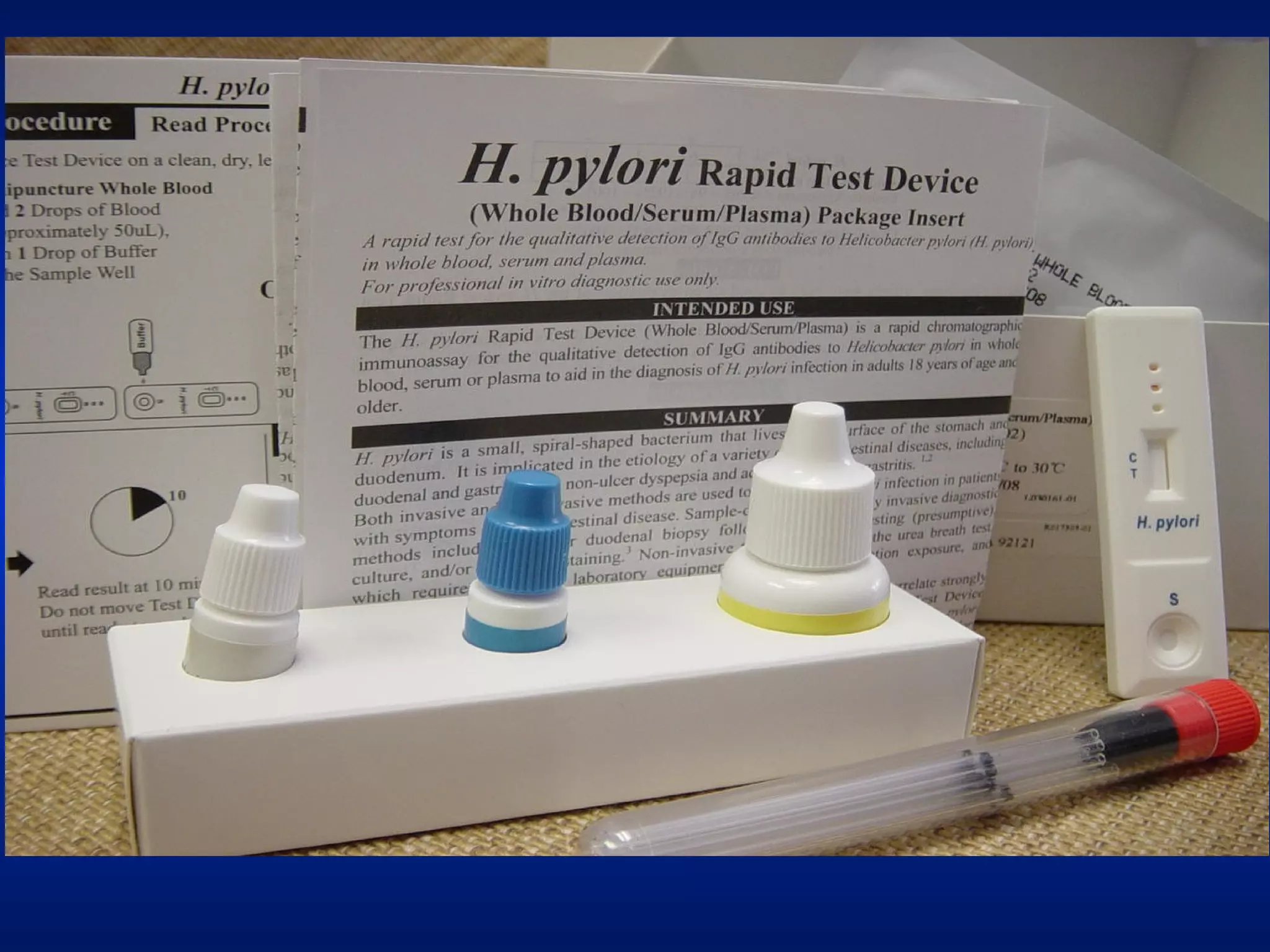 Helicobacter pylori | PPT