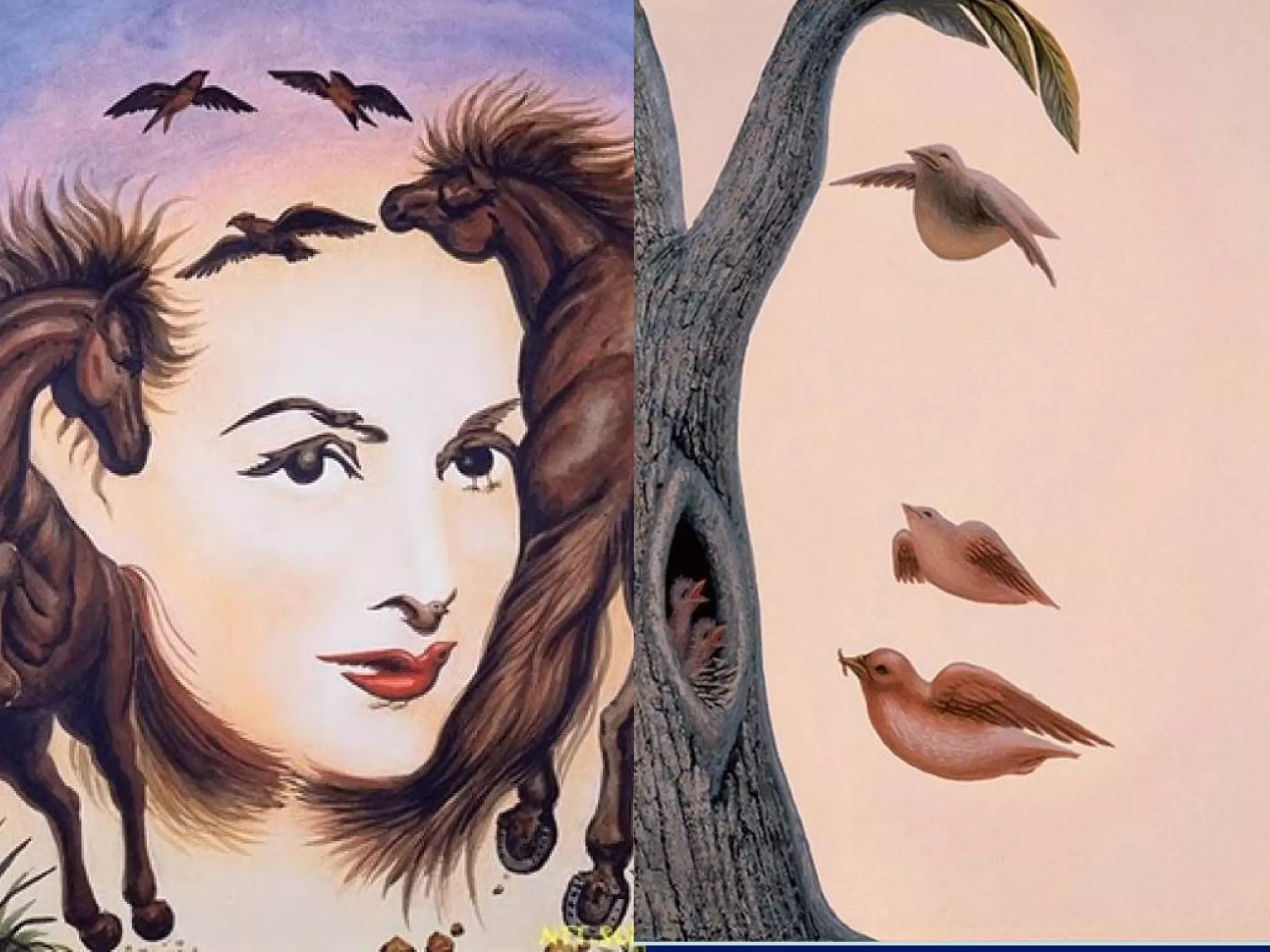 Helicobacter pylori | PPT