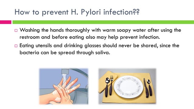Helicobacter pylori | PPT