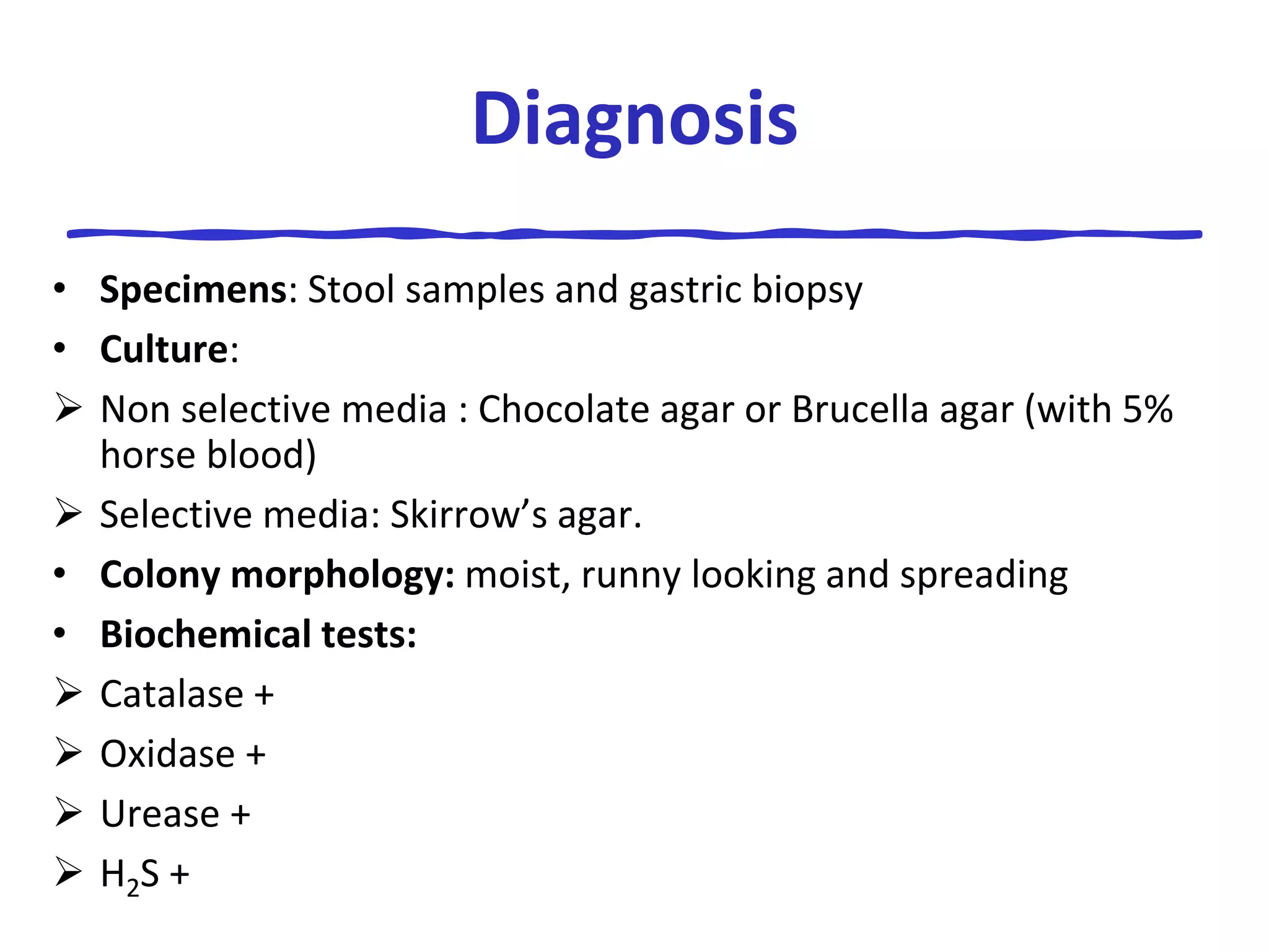 Helicobacter pylori .pptx