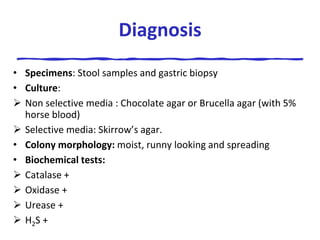 Helicobacter pylori .pptx