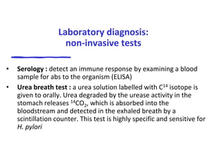 Helicobacter pylori .pptx