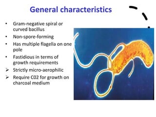 Helicobacter pylori .pptx