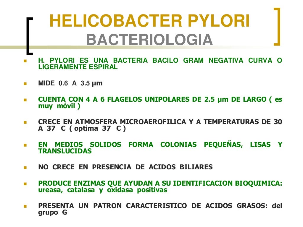 Helicobacter Pylori