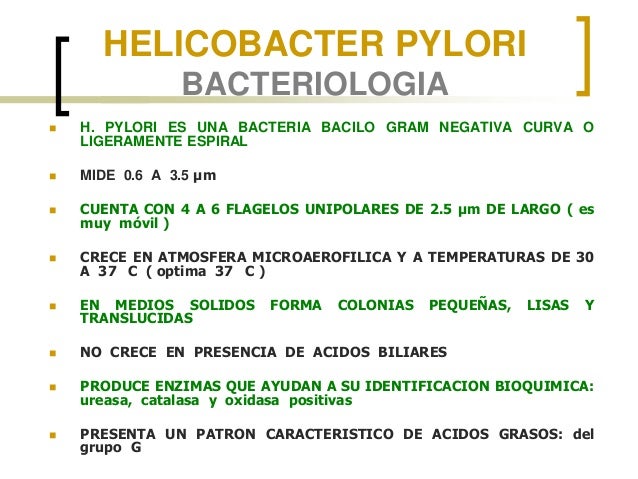 Helicobacter Pylori