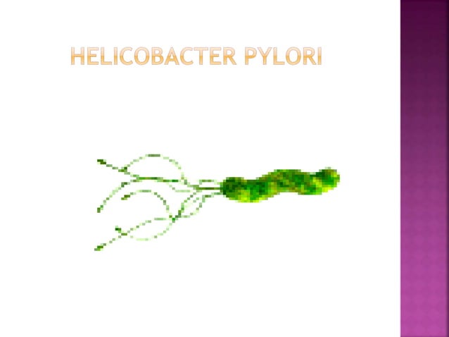 Helicobacter pylori bhavesh dr | PPTX