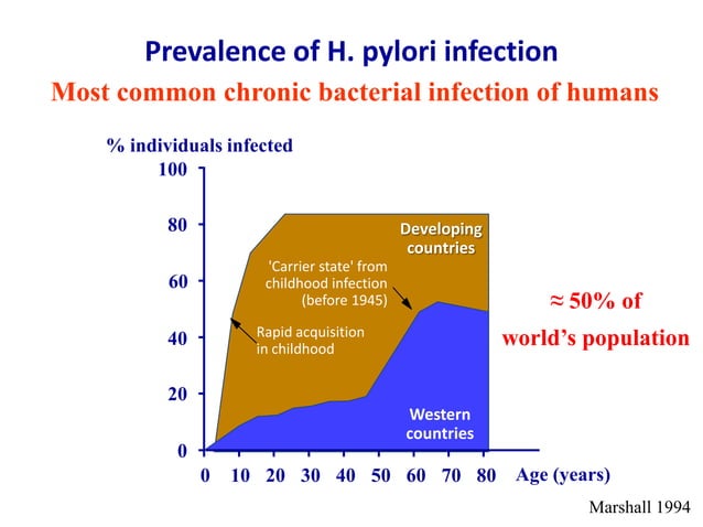 Helicobacter pylori infection | PPTX
