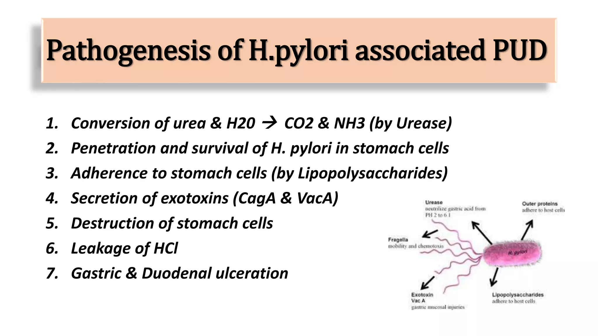 Helicobacter pylori & Its role in Peptic Ulcer.pptx