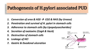 Helicobacter pylori & Its role in Peptic Ulcer.pptx | Medical Health