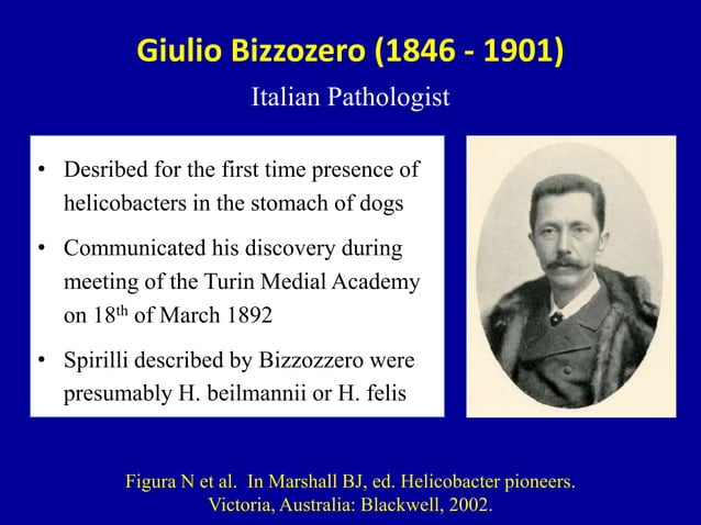 Helicobacter pylori & Nobel Prize in medicine & physiology | PPT