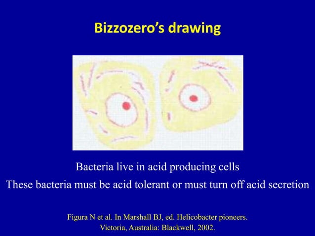 Helicobacter pylori & Nobel Prize in medicine & physiology | PPT