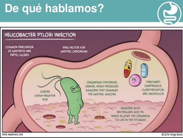 Tratamiento Helicobacter Pylori