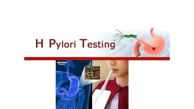 Helicobactor pylori | PPTX | Infectious Diseases | Diseases and Conditions