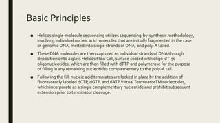 Helicos Sequencing | PPTX