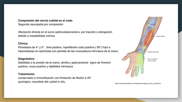 MENISCO ANATOMIA | PPTX