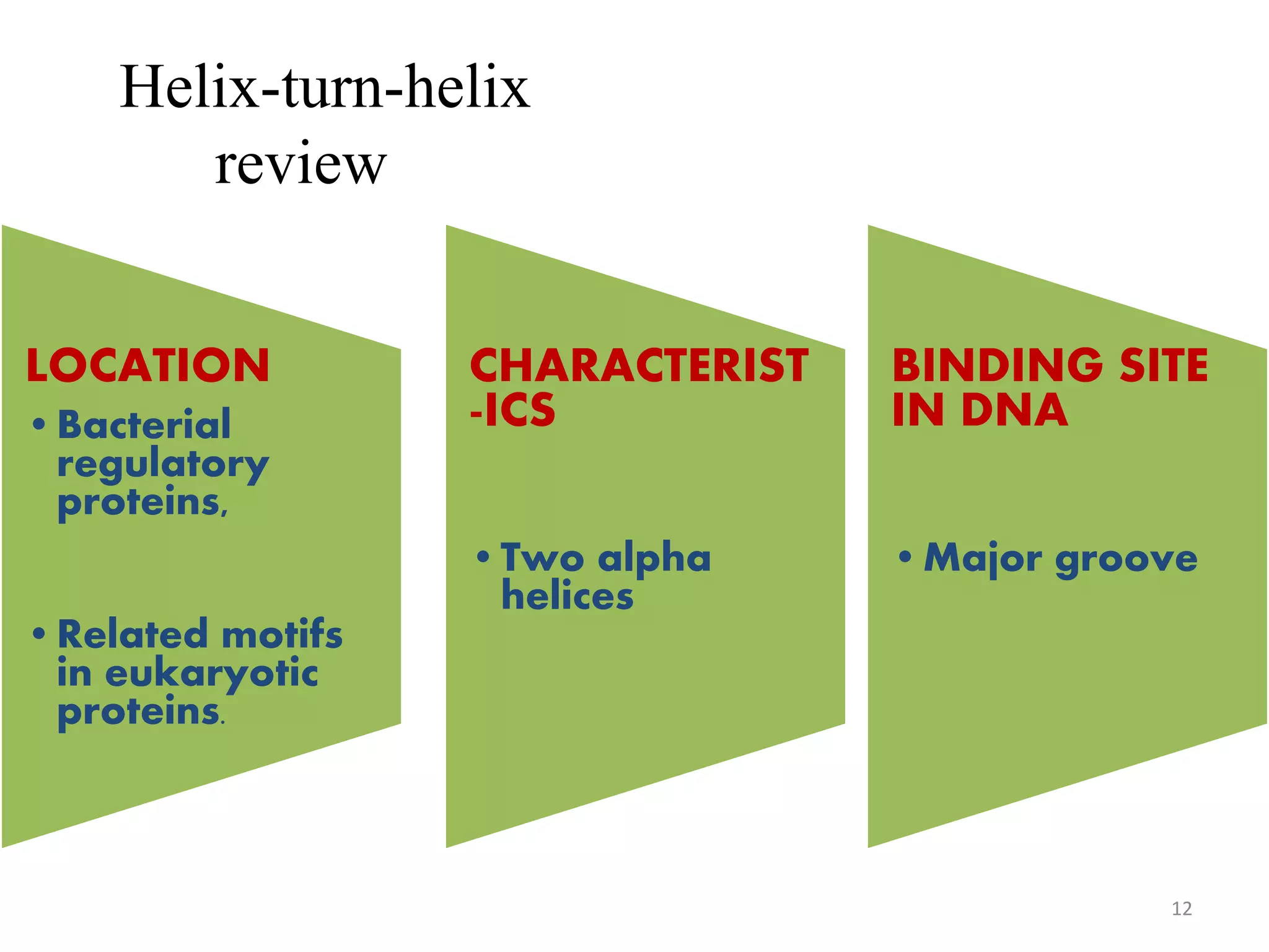 HELIX-LOOP-HELIX, HELIX-TURN-HELIX | PPTX