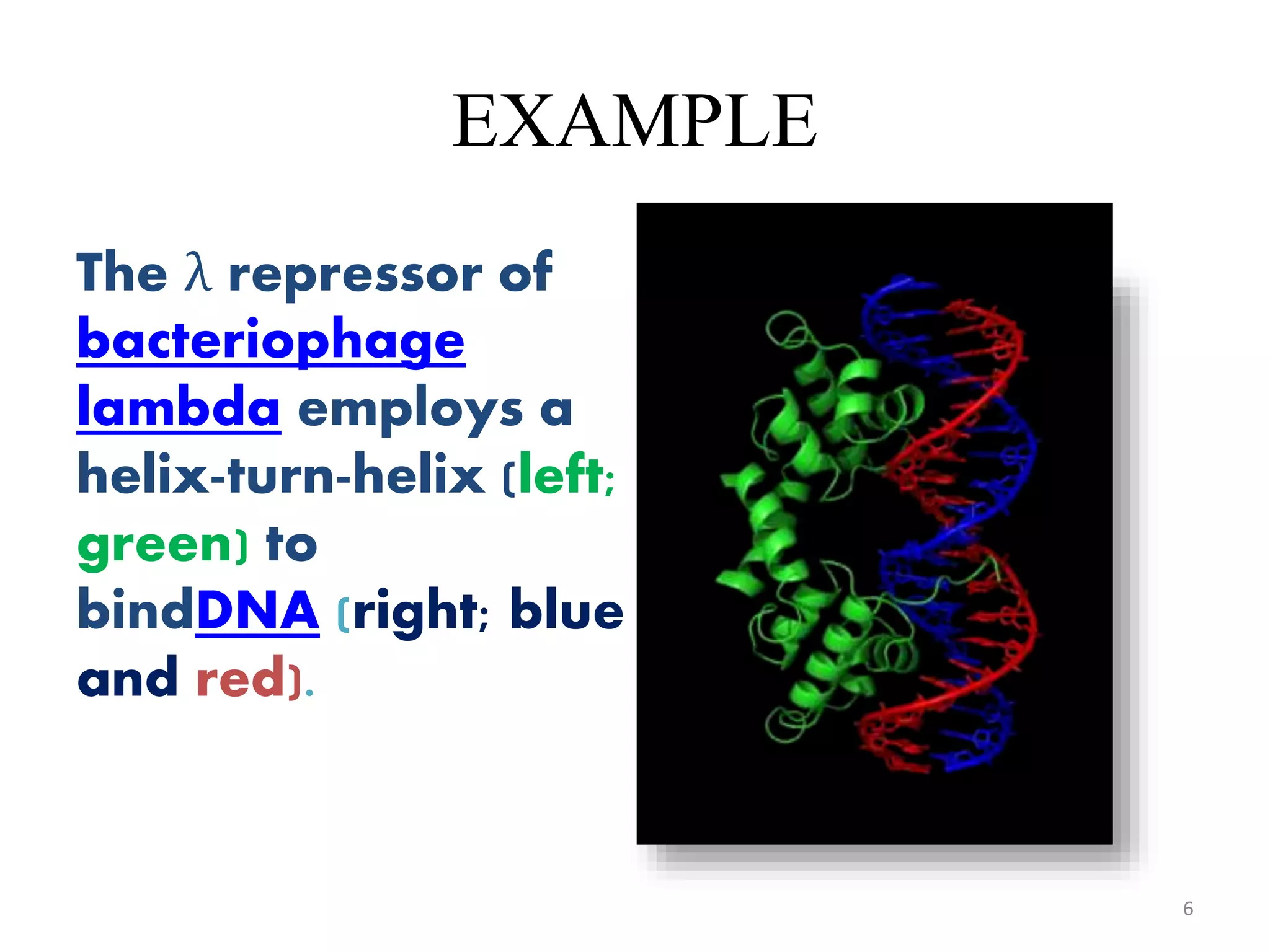 HELIX-LOOP-HELIX, HELIX-TURN-HELIX | PPTX