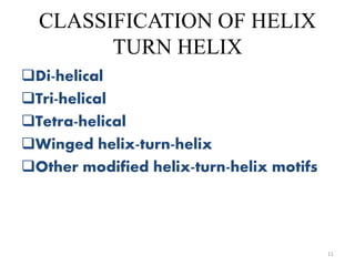 HELIX-LOOP-HELIX, HELIX-TURN-HELIX | PPTX