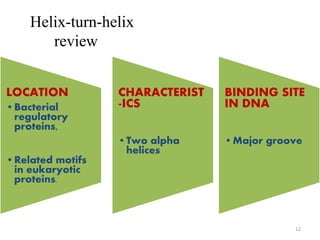 HELIX-LOOP-HELIX, HELIX-TURN-HELIX | PPTX