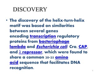 HELIX-LOOP-HELIX, HELIX-TURN-HELIX | PPTX