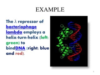 HELIX-LOOP-HELIX, HELIX-TURN-HELIX | PPTX