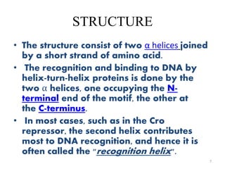 HELIX-LOOP-HELIX, HELIX-TURN-HELIX | PPTX