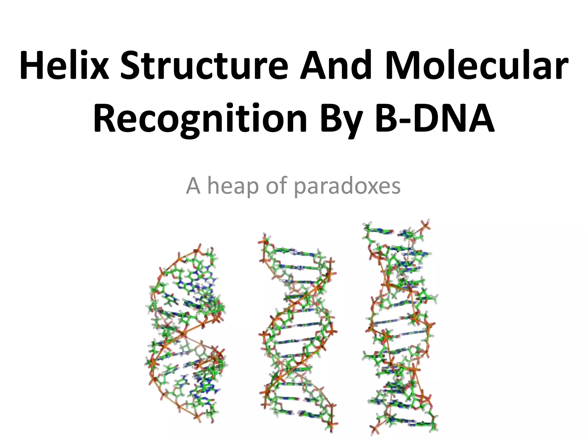 Helix structure and molecular recognition by B-DNA | PPT