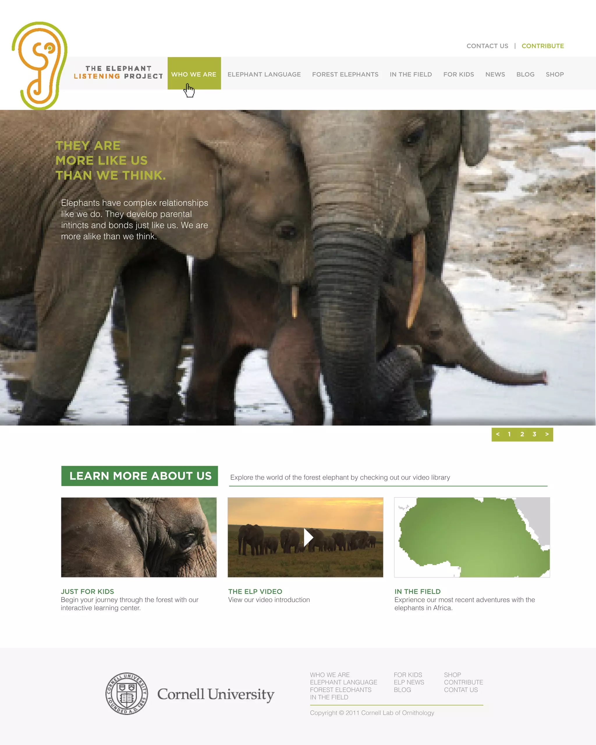 Elepant Listenign Project | PDF