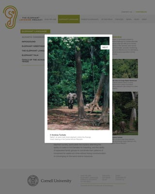 Elepant Listenign Project | PDF