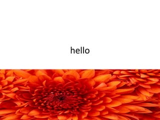 Hello | PPT