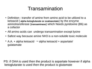 Chapter 19 : amino acid synthesis and metabolism | PPT