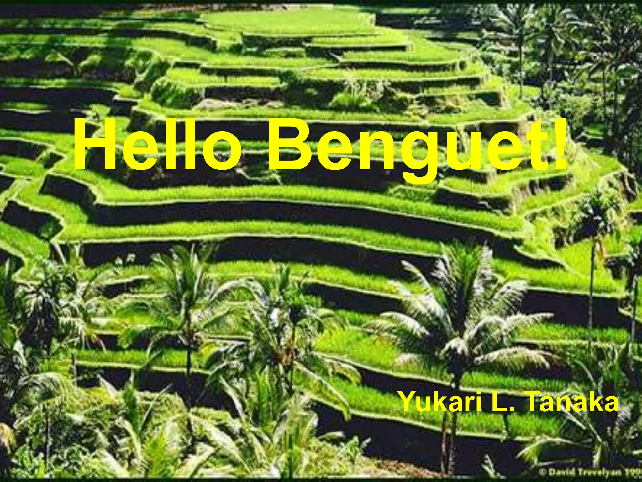 Hello benguet! | PPTX