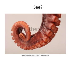 Hello! i am an octopus! welcome | PPTX