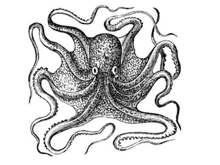 Hello! i am an octopus! welcome | PPTX