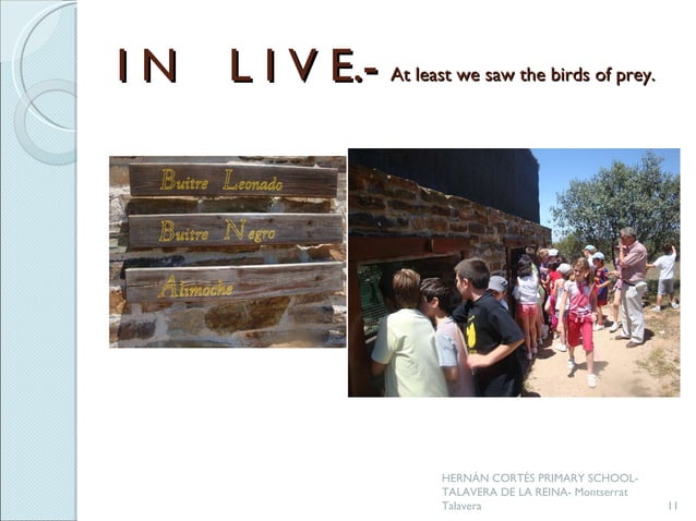 Hello joanne! hello children of p5! | PPT