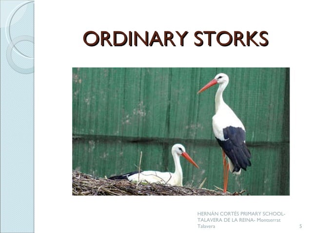 Hello joanne! hello children of p5! | PPT