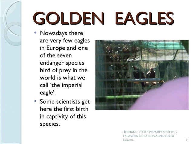 Hello joanne! hello children of p5! | PPT