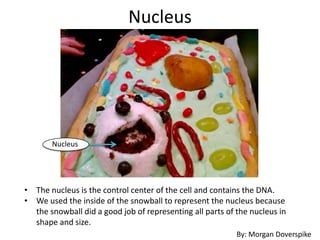Hello kitty edible cell power point | PPT