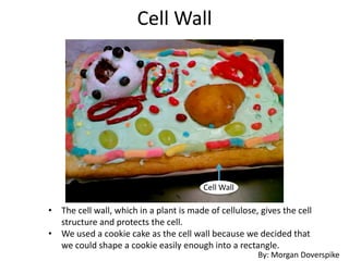 Hello kitty edible cell power point | PPTX