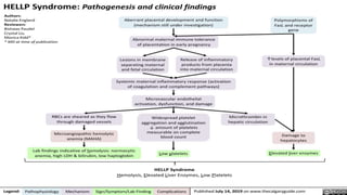 HELLP syndrome is a pregnancy complication. It is a type of ...