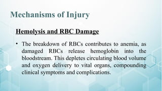 HELLP Syndrome | PPTX