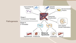 HELLP Syndrome Powerpoint from the perspective of obgyn | PDF