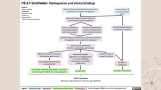 HELLP Syndrome Powerpoint from the perspective of obgyn | PDF