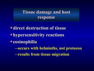 medical Helminthology, parasitic worms .ppt