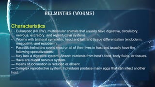 Helminth | PPTX